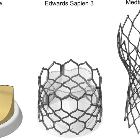 Geometries Of The Bioprosthetic Valve Models Leaflets And Cuffs Of The