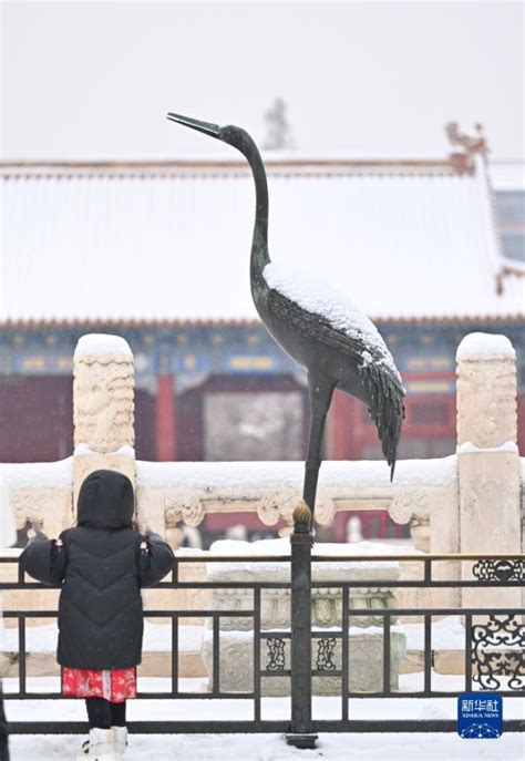 故宫赏雪旅游频道中国青年网