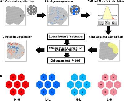 Frontiers Detection Of Differentially Expressed Genes In Spatial