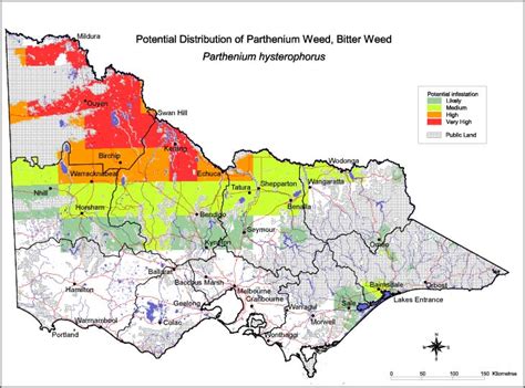 Potential Distribution Of Parthenium Weed Parthenium Hysterophorus In
