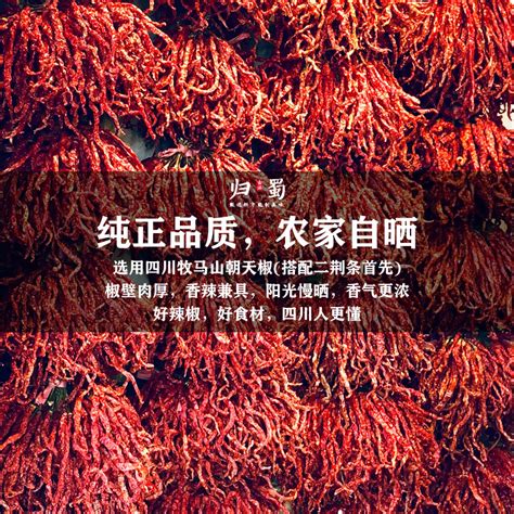 归蜀四川朝天辣干辣椒中辣特香子弹头农家自晒川菜调料 60g 虎窝淘