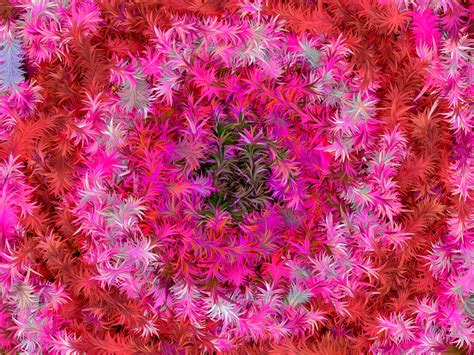 Baby Digital Art By Holley Jacobs Fine Art America