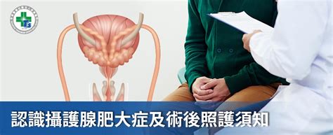 認識攝護腺肥大症及術後照護須知