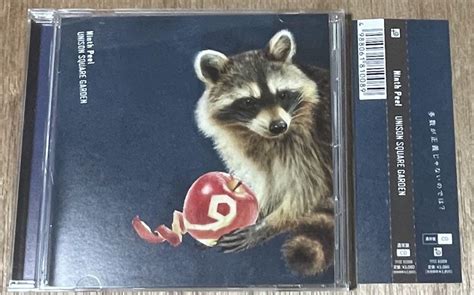 Unison Square Garden Ninth Peel 通常盤 メルカリ
