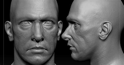 Male Head Sculpt Progression Album On Imgur