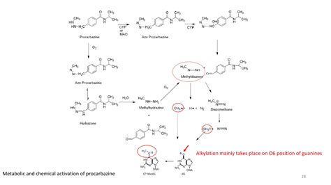 Alkylating Agents Medicinal Chemistry Pdf