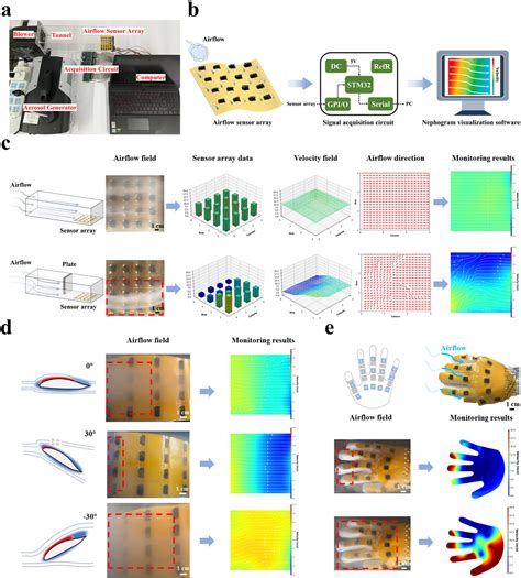Hair‐like Flexible Airflow Sensor For Large‐area Airflow Sensing Xie