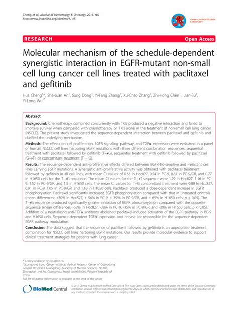 PDF Molecular Mechanism Of The Schedule Dependent Synergistic