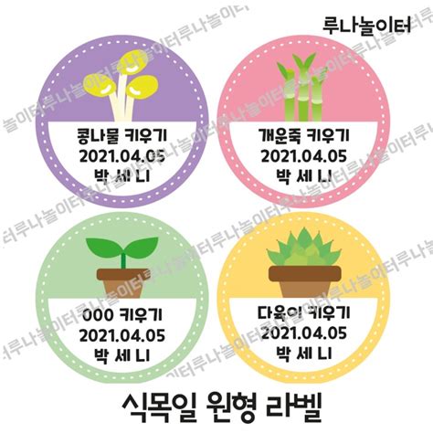 꽃 이름표 식목일 이름표 다육이 라벨 어린이집 유치원 식목일 다육이 개운죽 콩나물 화분 라벨 루나놀이터 식목일