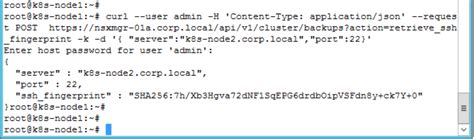 Lorenzo Moglie Notes Nsx T Error To Fetch Ssh Fingerprint