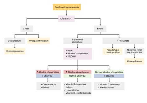 Hypocalcemia Clinical Concise Medical Knowledge