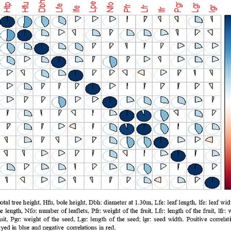 Correlogram Showing The Correlation Between Quantitative Traits Download Scientific Diagram