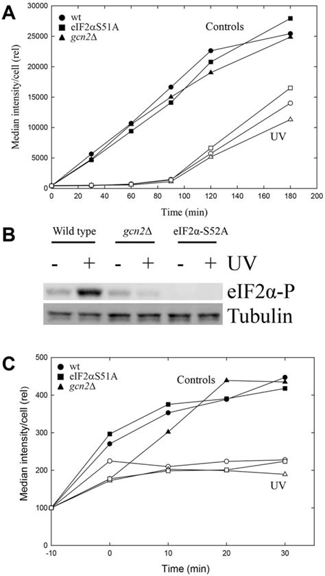 Stress Induced Inhibition Of Translation Independently Of Eif2α