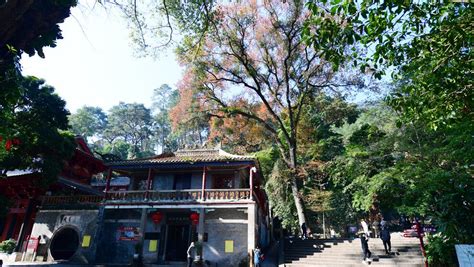 桂平大藤峡旅游度假区 桂平大藤峡 旅游度假区