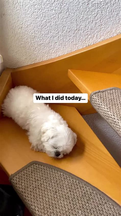 💤😔 What I Did Today 😔💤⠀⠀⠀⠀⠀⠀⠀⠀⠀⠀⠀⠀⠀⠀⠀⠀⠀⠀⠀⠀ Today I Was Still Not Much