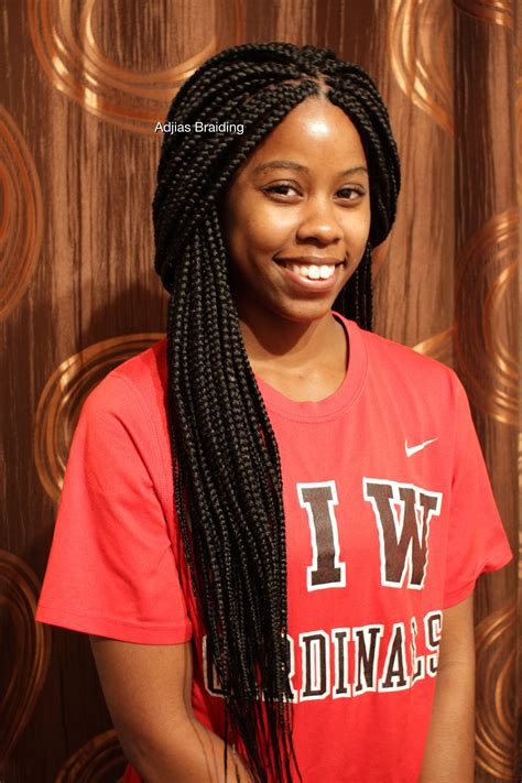 Pin By Charlotte Sweeting On Braids And Twist Locs Braided
