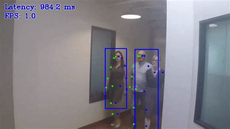 Single Human Pose Estimation Demo Top Down Pipeline OpenVINO