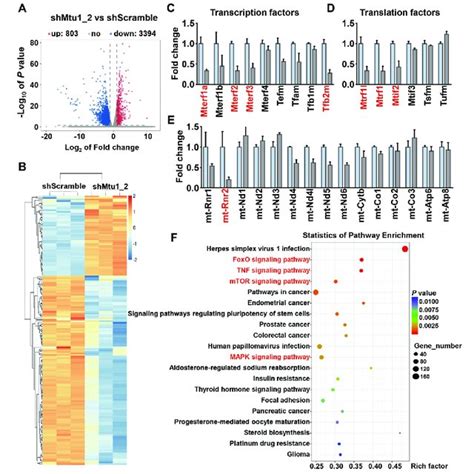 Rna Seq Analysis A Volcano Plot Of Differentially Expressed Genes Download Scientific Diagram