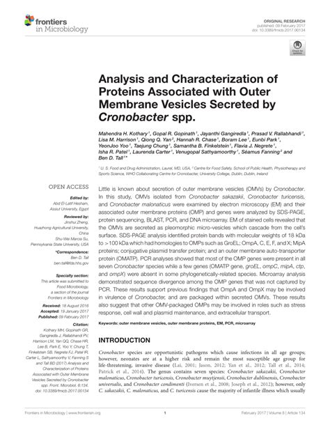 Pdf Analysis And Characterization Of Proteins Associated With Outer