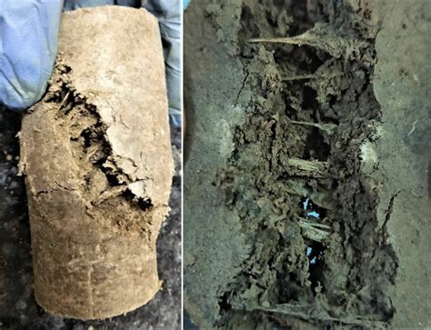 Stretched Rubber Lumps In Nrl Treated Soil Specimen After Failure