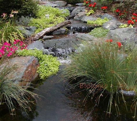Koi Pond Guide Ideas And Tips For Building Your Dream Pond