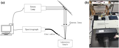 Experiment Setting Details A Schematic Diagram B Photograph Download Scientific Diagram