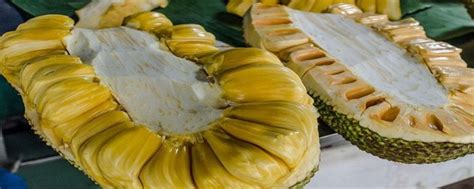 油漆味道用什么办法可以快速除掉 楼盘网