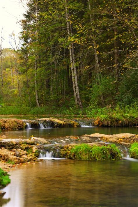 집 밖의 강 개울 계곡 고립된 고요한 광야 나무 녹색 녹지 돌 맑은 물 맑은 시내 무성한 민물 반사 삼림지대 손길이 닿지 않은 자연 수직