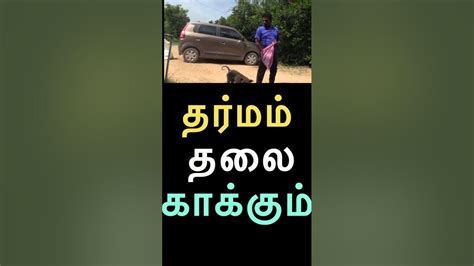 தர்மம் தலை காக்கும் Youtube