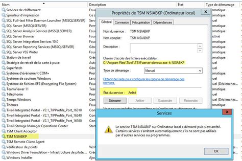 Solved IBM Tivoli Storage Manager TSM Service Not Starting Error