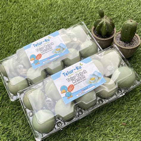 Jual Telur Bebek Super Mentah Isi 10 Shopee Indonesia