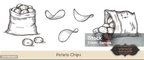 손으로 그린 감자와 감자 칩은 흰색 배경에 고립되어 있습니다 벡터 일러스트 레이 션 생감자에 대한 스톡 벡터 아트 및 기타 이미지 생감자 감자 요리 칩 스낵 Istock