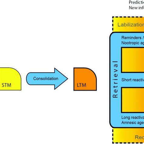 Figure E Diagram Showing An Example Layout For The Segmented Attractor Download Scientific
