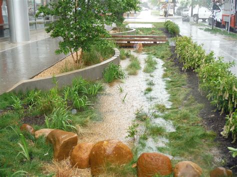 Bay Restoration Practices Chesapeake Stormwater Network