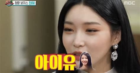 섹션 청하 롤모델 아이유 콘서트 올 라이브 정말 멋지다