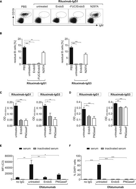 Impact Of Minimal Human Igg1 And Igg3 Glycosylation On The Ability To Download Scientific