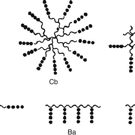 Maltotetraose Hybrids With Various Carriers Resulting In Different