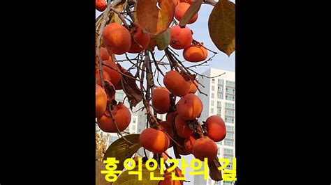 344화 홍익인간과 민족사학 Youtube