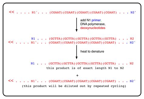 New And Improving Dna Profiling Continues To Impress And Surprise Common Science Space