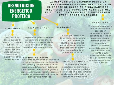 Mapa Conceptual Desnutricion Pdf Determinantes De La Salud