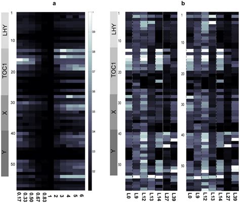 Sensitivity Of The Two Loop Model Of Arabidopsis Circadian Clock The