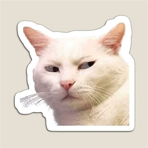 Promote Redbubble Cute Laptop Stickers Weird Stickers Cool Stickers