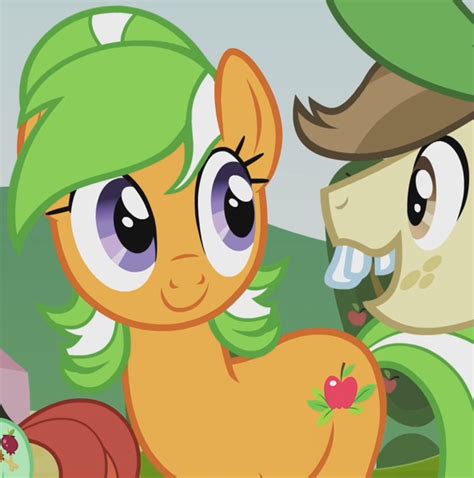 Apple Leaves 小马中文维基 MLP中文维基 我的小马驹友谊就是魔法中文维基 灰机wiki 北京嘉闻杰诺网络
