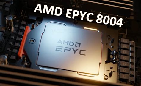 Amd Siena Cpus For Sp6 Platform To Launch Under Epyc 8004 Branding Up
