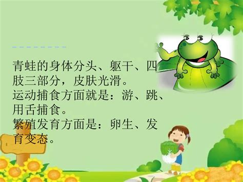 3 小青蛙 课件 18张PPT 21世纪教育网 二一教育