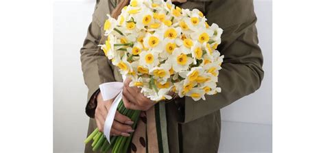 نماد گل نرگس همراه با آموزش کاشت و نگهداری آن در گلدان و باغ و باغچه