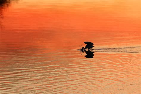 By Id Photohito