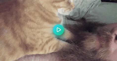 Nice Relaxing Massage Album On Imgur