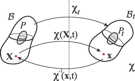 Reference And Current Configurations For Continuum Growth Download
